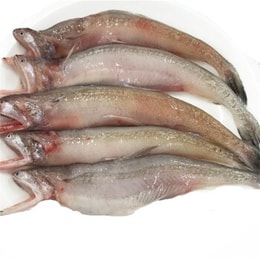 Frozen Dragon Head Fish 908g | 亞米