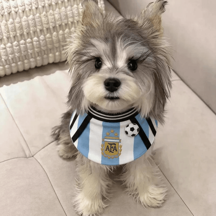 Pet Saliva Towel World Cup Wraps Portugal Adjustable Standard Cup*1 Piece 3