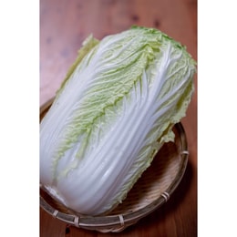 Napa Cabbage (1lb.) | Yami
