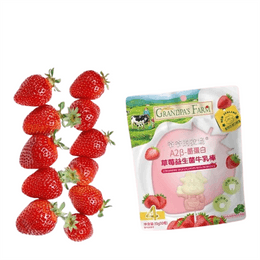 Blueberry & Strawberry Milk Bar High-Calcium Milk Lollipop Children's ...