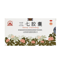 CHAHUA Camellia San Qi (Tienchi Ginseng) Powder JiaoNang 40 Capsules | Yami