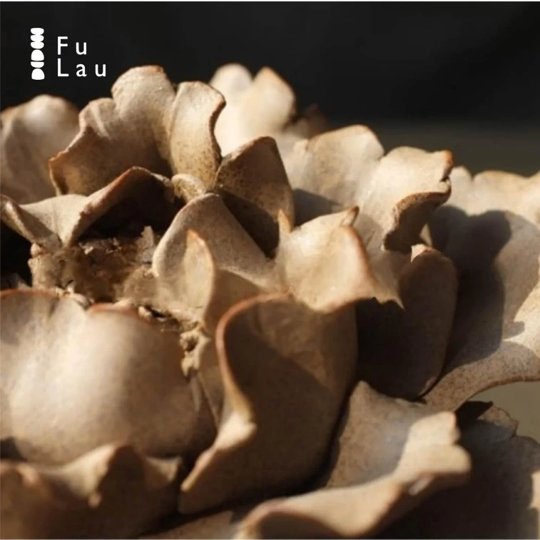 Ceramic Lotus Flower Incense Holder Zen Design Suitable for Incense ...