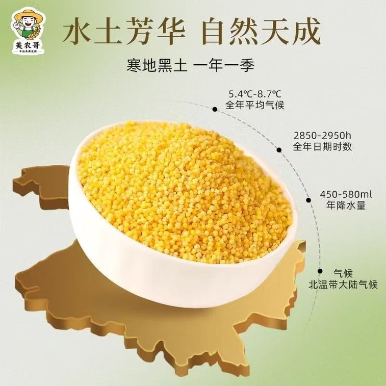 Authentic Northeastern Yellow Millet, Farm-produced New Rice, Sticky ...