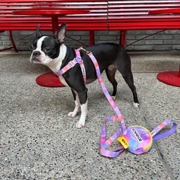 Icandor Dingle-Dangle Poop Bag Pouch For Dog Pet Milky Way | Yami