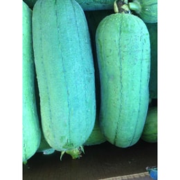 Taiwan Luffa cylindrica-Sigua 3 lbs | 亞米