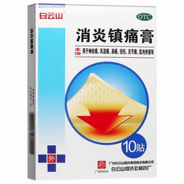 Baiyunshan Anti-inflammatory and Analgesic Plaster (10 Patches) | Yami