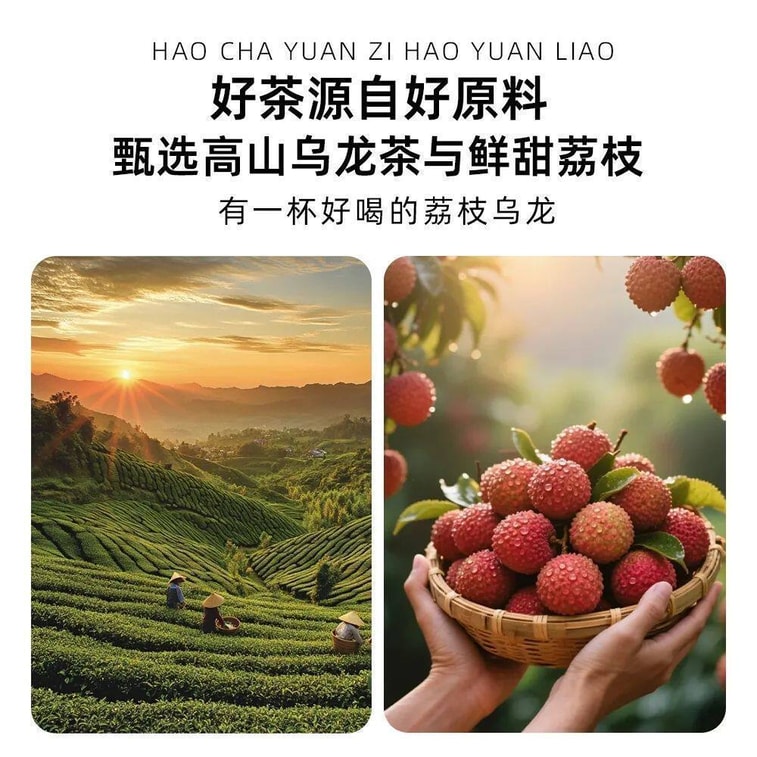 Lychee Oolong Tea DIY Internet Celebrity Drink Hot and Cold Double ...