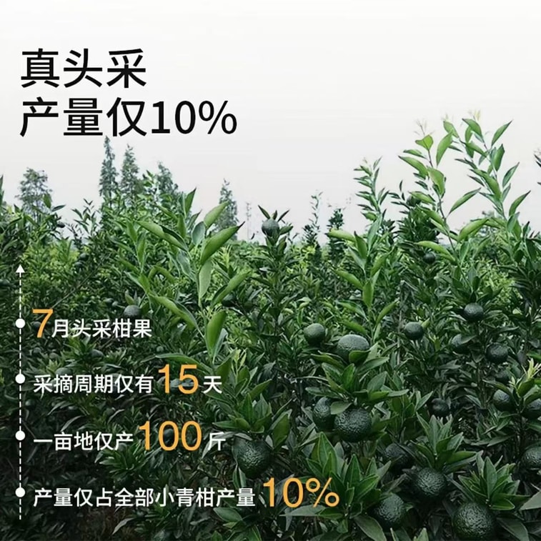 Shanjia Fangming Xiao Qing Gan Pu-erh Tea 250g Ripe Pu-erh Tea with ...