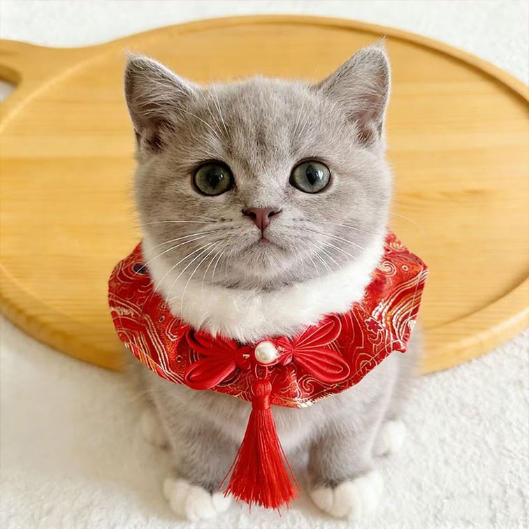 New Chinese-style pet New Year accessories: Cat's New Year scarf, dog's ...