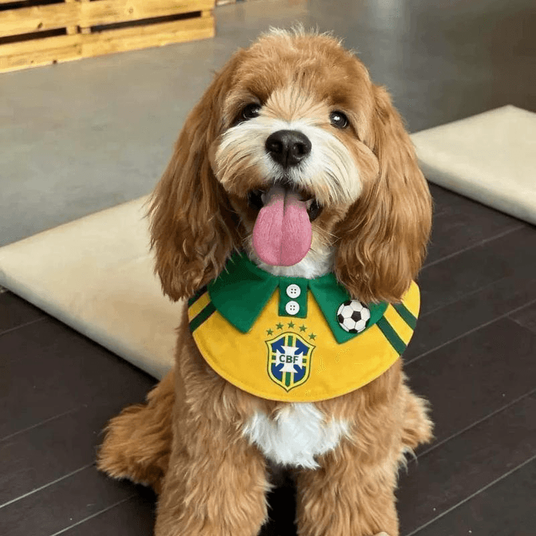 Pet Saliva Towel World Cup Wraps Portugal Adjustable Standard Cup*1 Piece 2