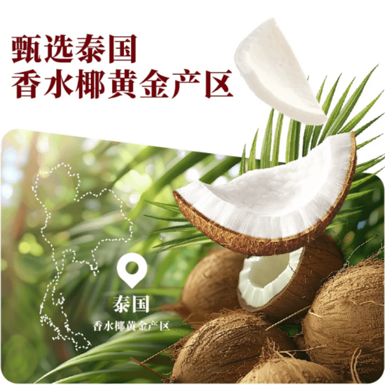 Huanxi Freeze-Dried Coconut Chips Thai Coconut Meat Crispy Chips Freeze ...