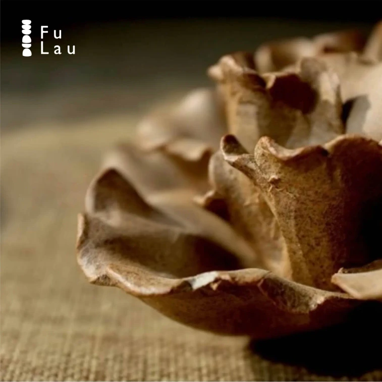 Ceramic Lotus Flower Incense Holder Zen Design Suitable for Incense ...