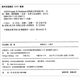 ANSYS Icepak及Workbench结构热力学仿真分析（附光盘） | 亚米