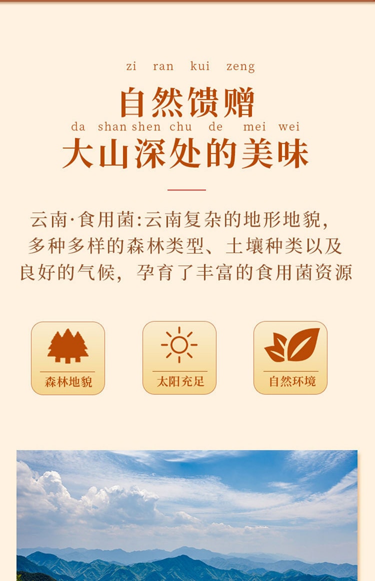 王小墨 云南特产 香蕈松茸菌 220g/瓶 | 亚米