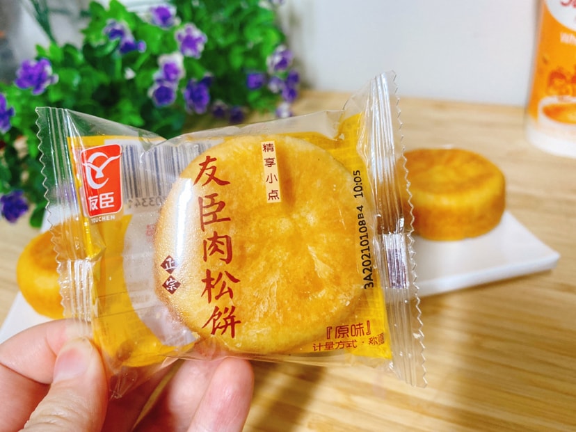 Premium Meat Floss Products – Pork, Chicken & Fish Floss