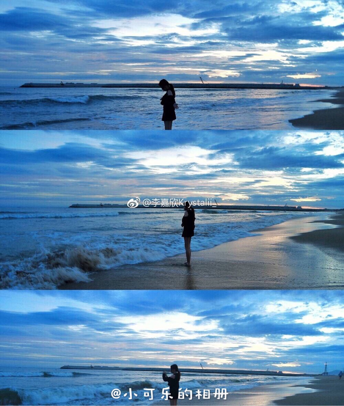 【Little Cola's Album】Recent